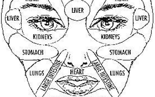 FACIAL MAPPING, Use this diagram when applying your serum - Angelico